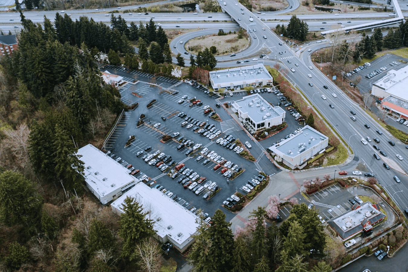 Meet Our Clients & Partners | Prophia